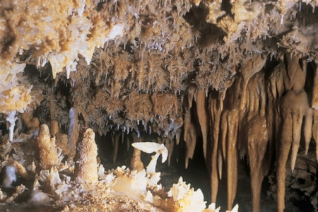 GROTTES DU GRAND ROC - International Show Caves Association